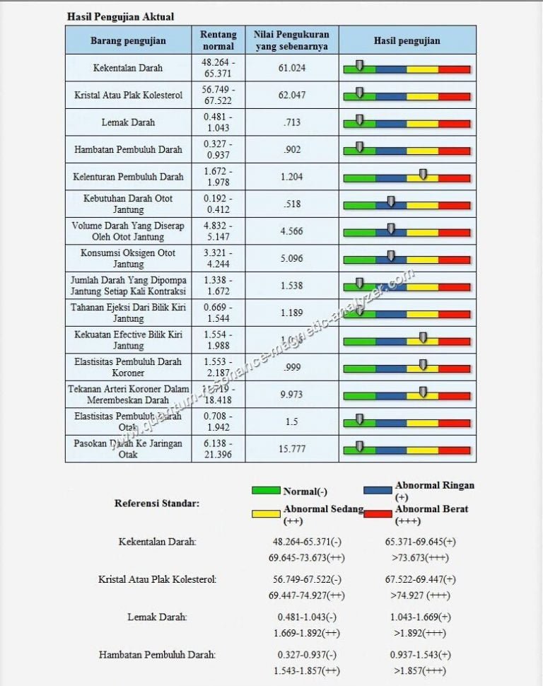 Quantum Bio Analyzer : What ,why And How To Use - MAIKONG Quantum ...