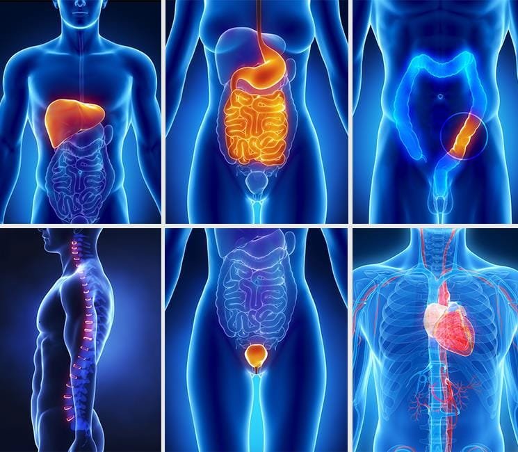 What Is Quantum Health Analyzer Full Body Scan? - MAIKONG Quantum ...